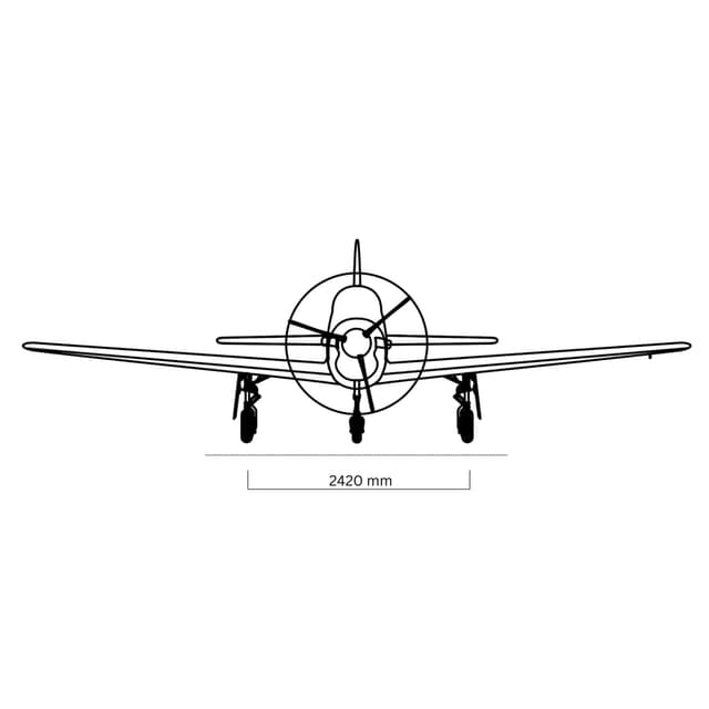 Flying Legend Vietnam - Khát vọng vươn mình cùng đất nước